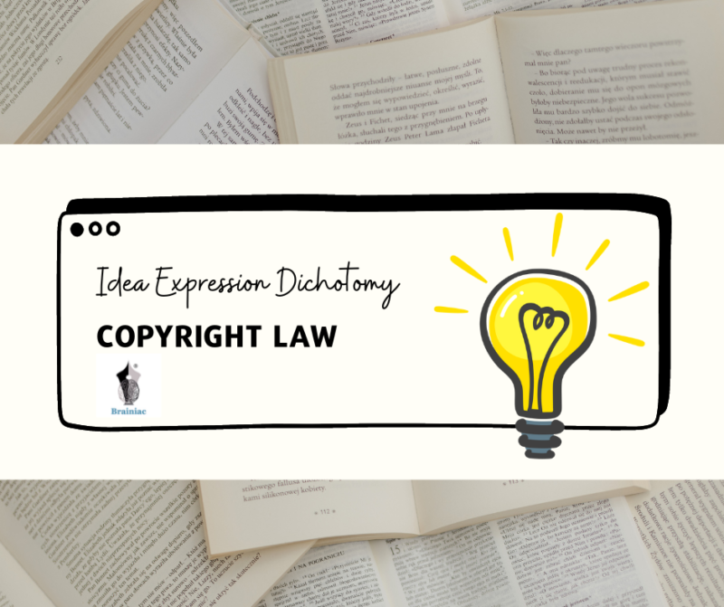 Idea and Expression Dichotomy of Copyrights in India: A Comprehensive ...